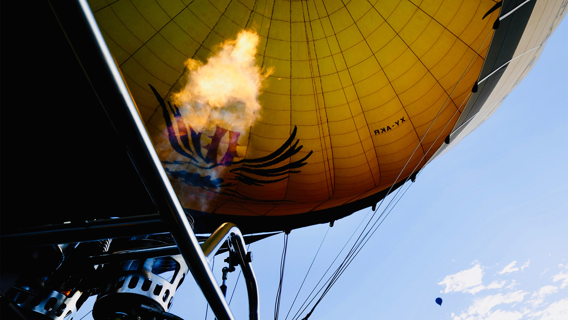 Newsletter | Step Ri